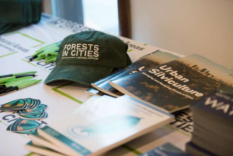 The 5 Best Natural Areas in NYC for Birdwatching During Fall Migration ...