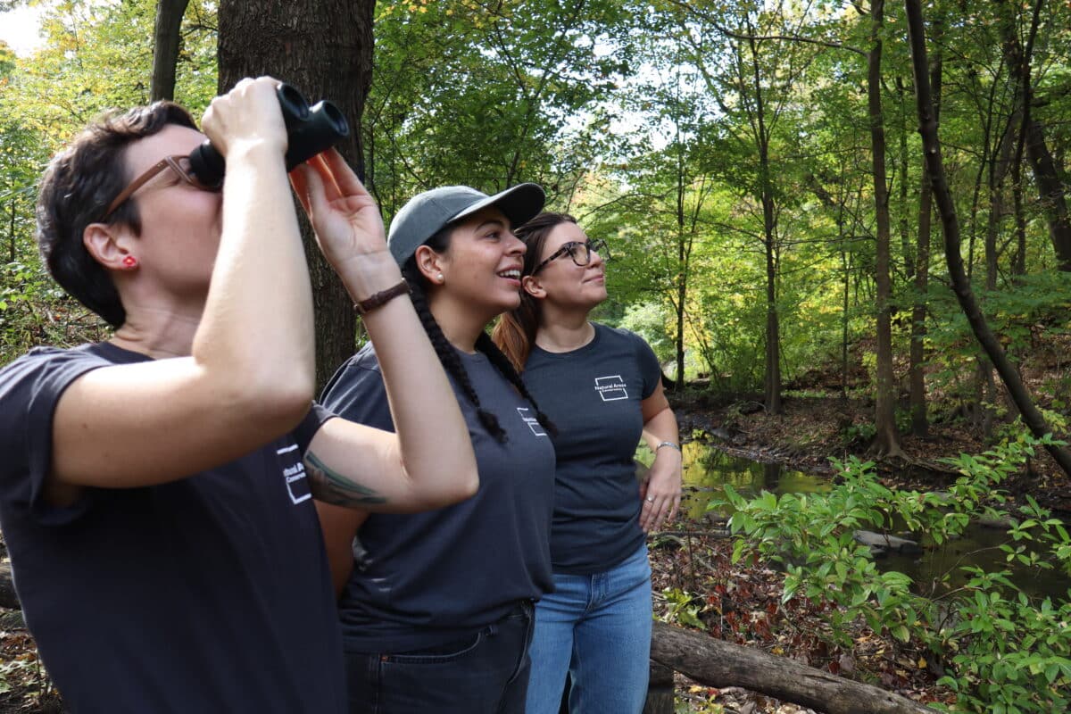 What is the Urban Forest Plan & How Can You Get Involved? - Natural ...