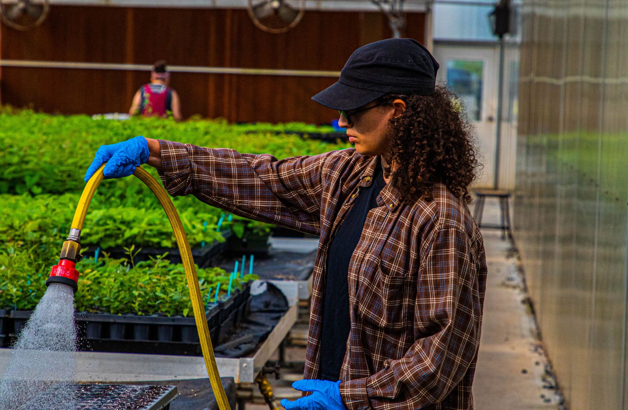 Home - Natural Areas Conservancy