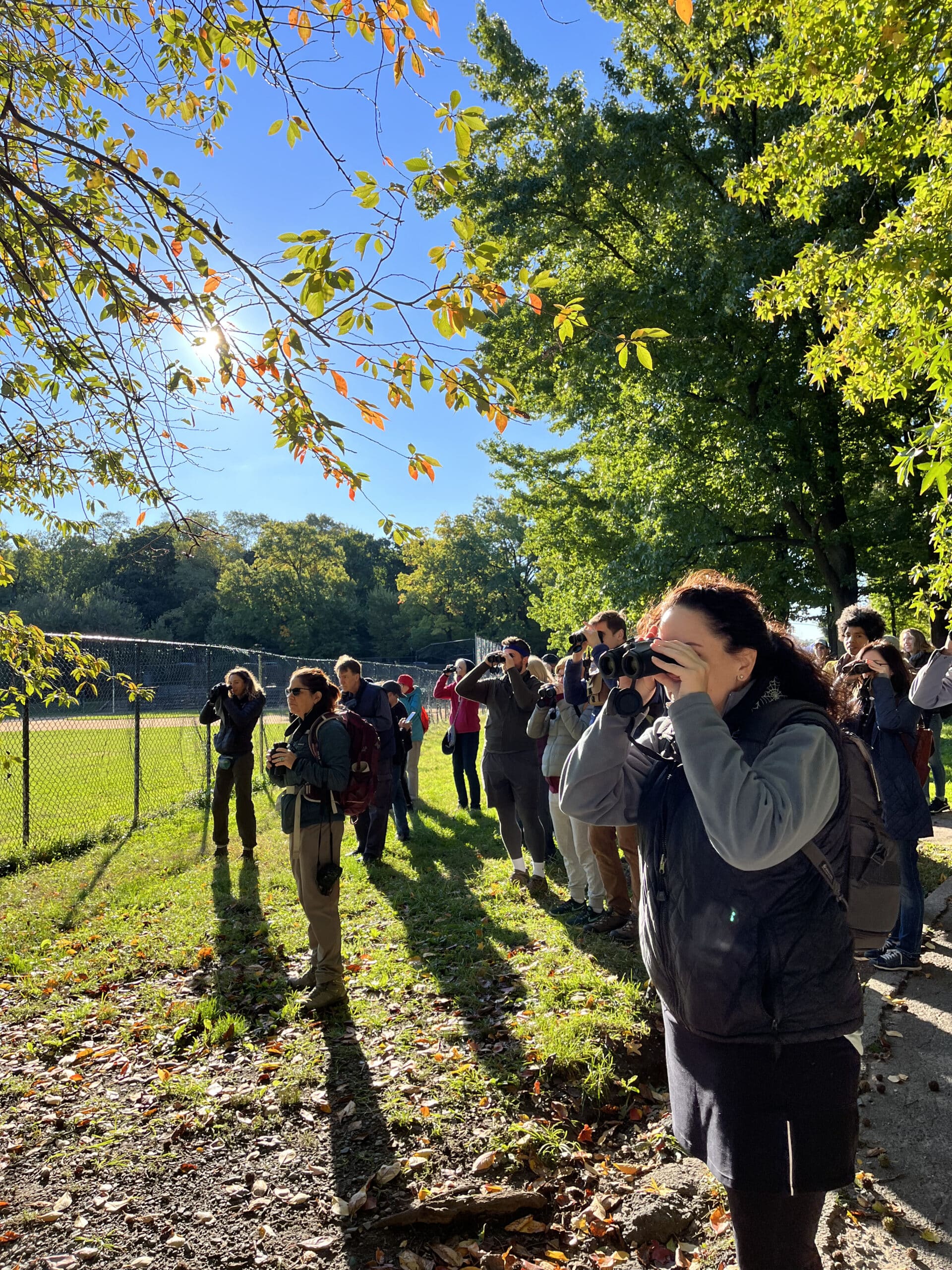 The 5 Best Natural Areas in NYC for Birdwatching During Fall Migration ...