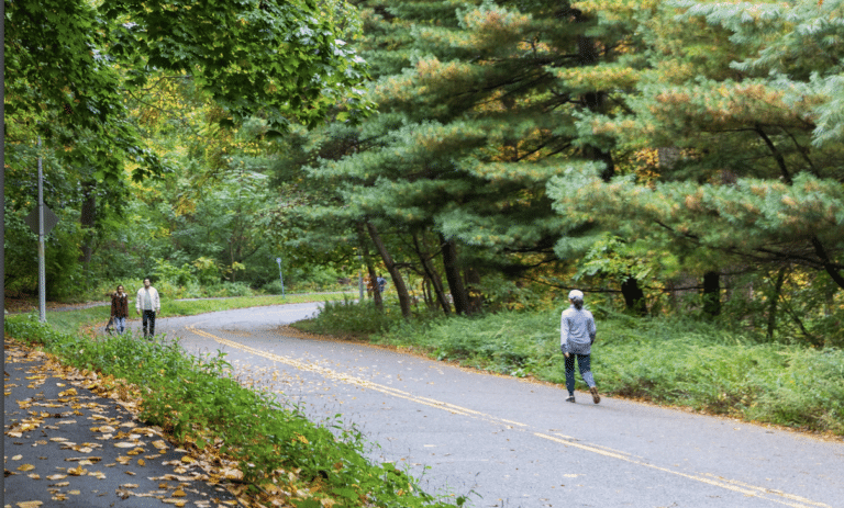 The Impacts of Climate Change on New York City's Natural Areas ...