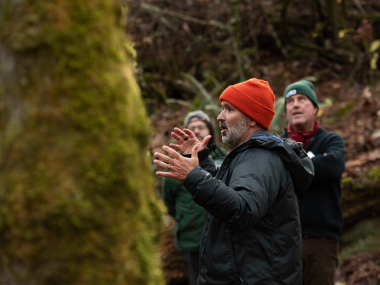 Forests in Cities Network - Natural Areas Conservancy