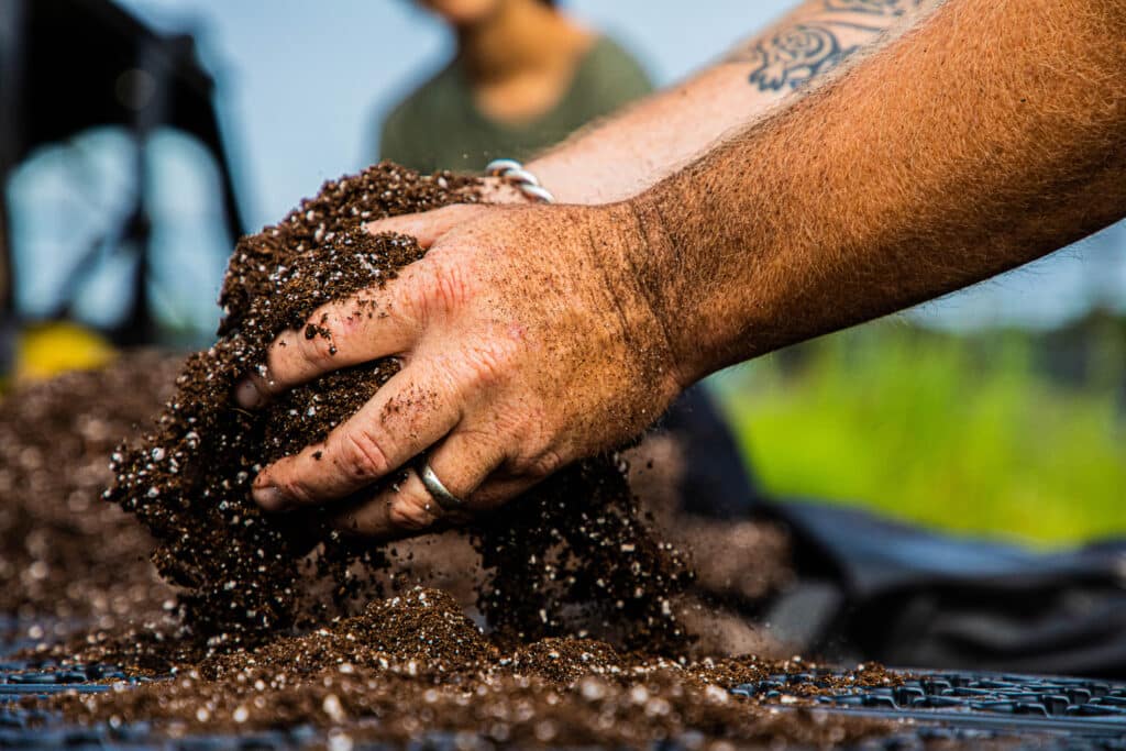 Wetlands Mitigation Banking in New York City: Challenges and ...