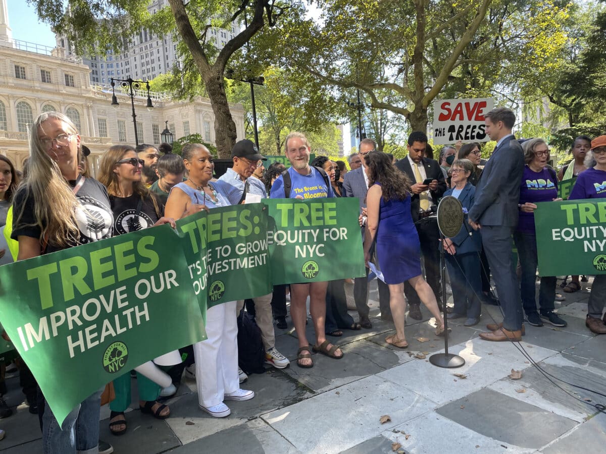 What is the Urban Forest Plan & How Can You Get Involved? - Natural ...