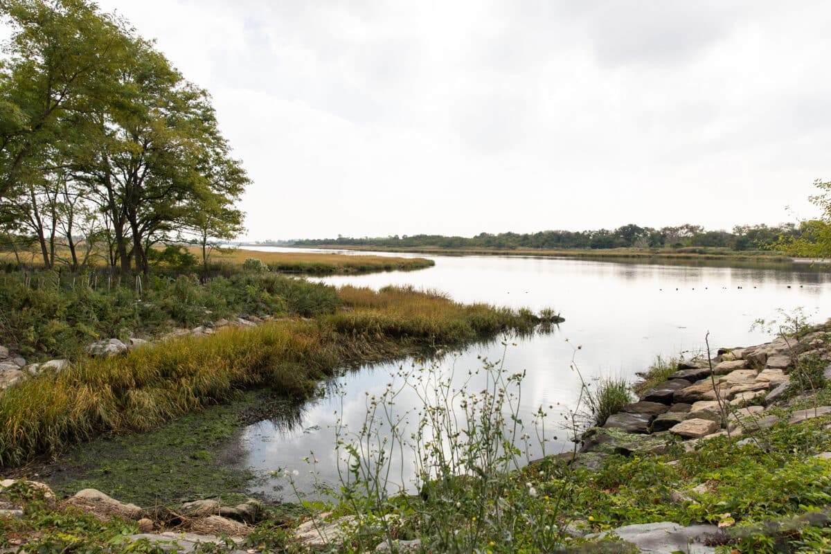 Wetlands Management Framework - Natural Areas Conservancy