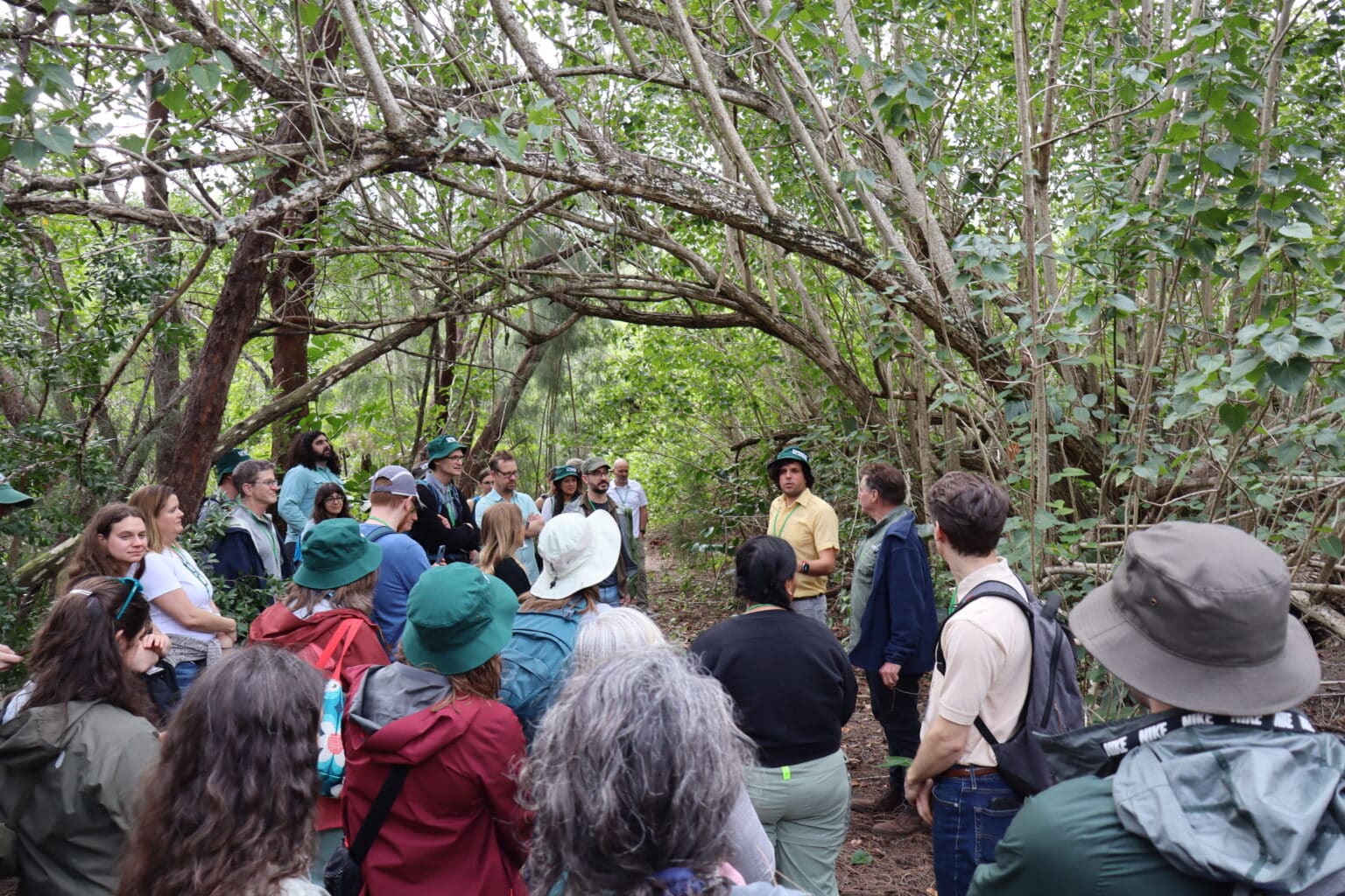 Forests in Cities Network - Natural Areas Conservancy