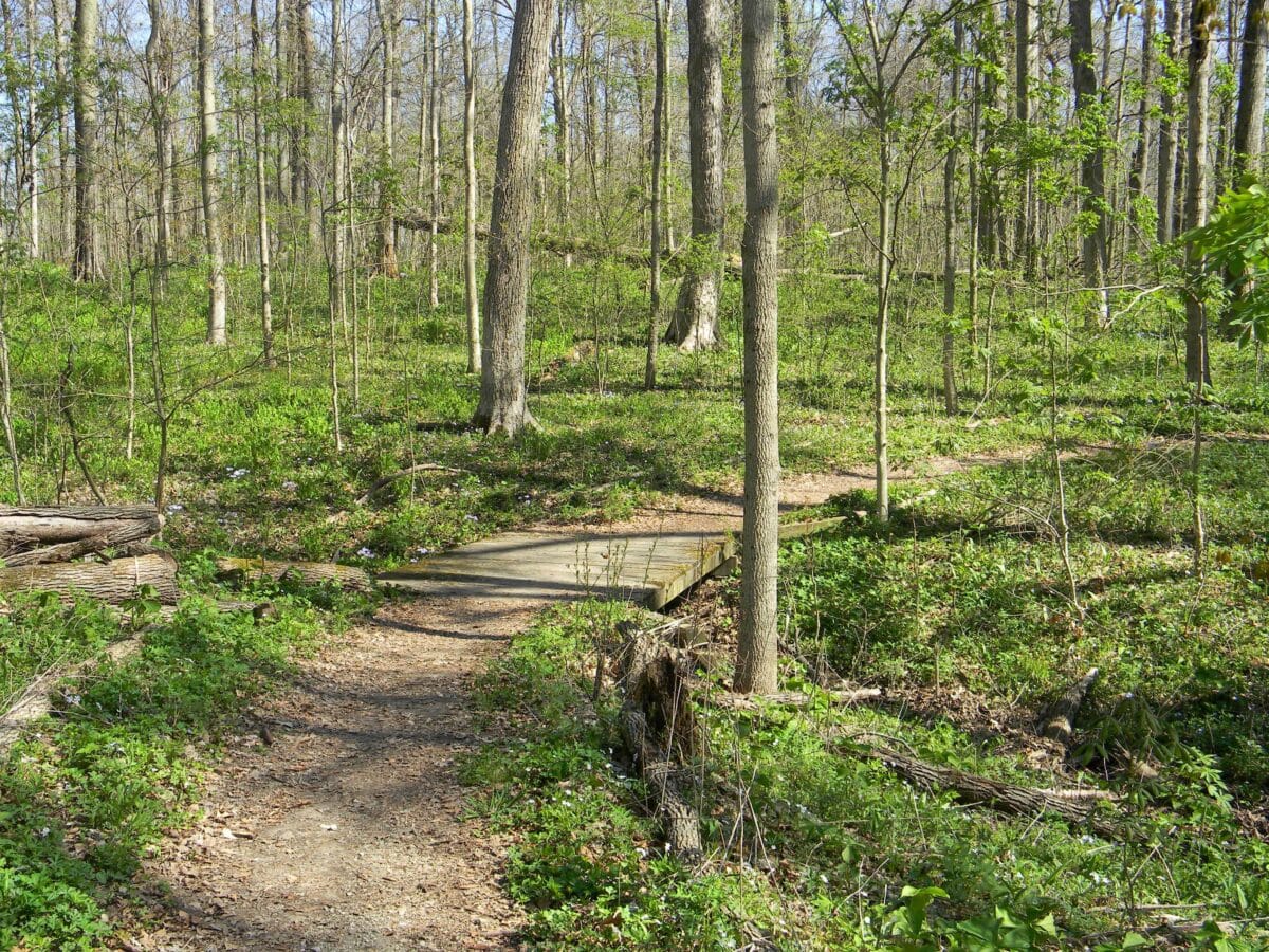 The Impacts of Climate Change on New York City's Natural Areas ...