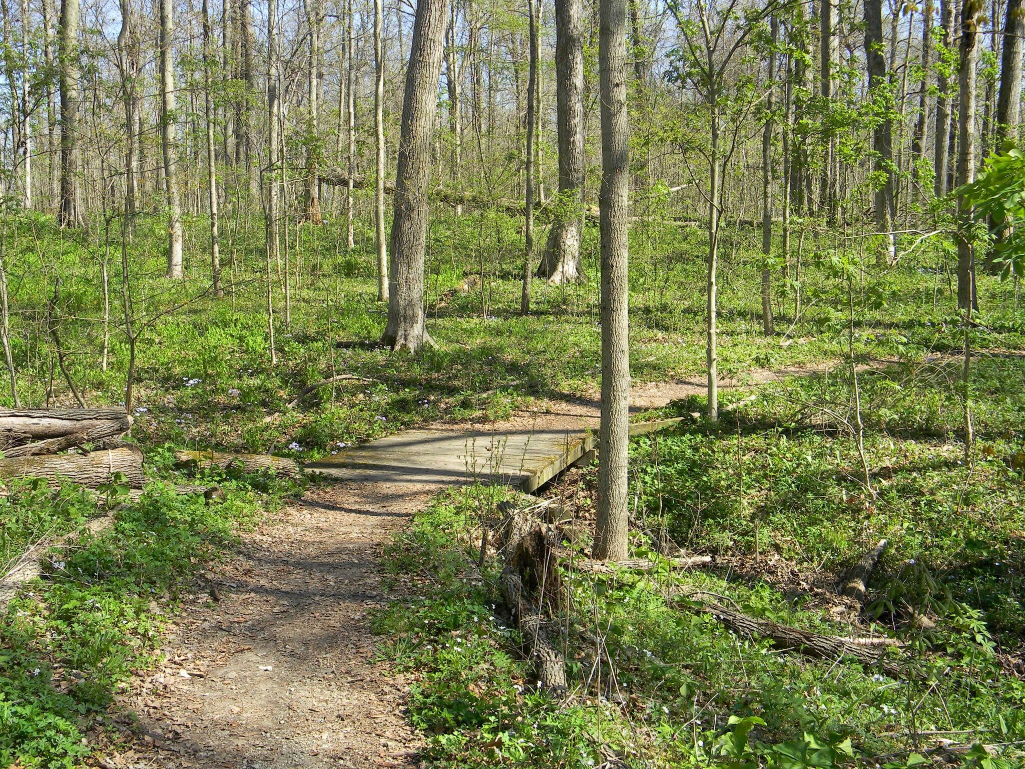 The Impacts of Climate Change on New York City's Natural Areas ...