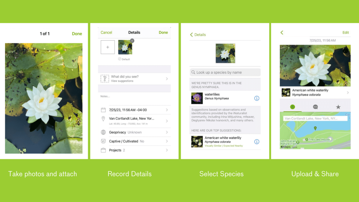 How to Use iNaturalist to Contribute to Science - Natural Areas Conservancy