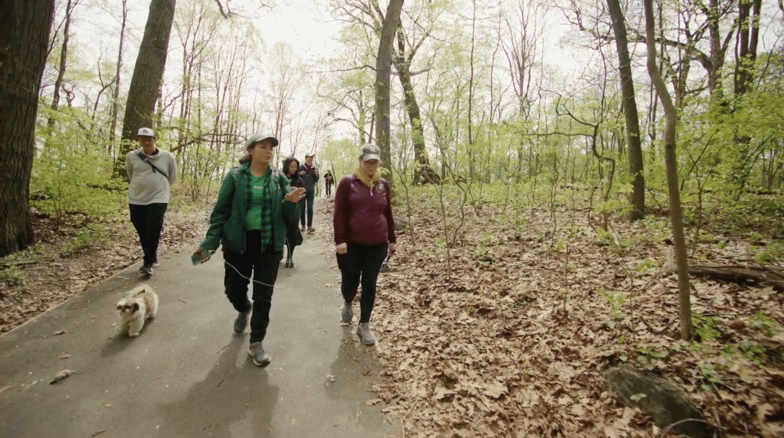 Home - Natural Areas Conservancy