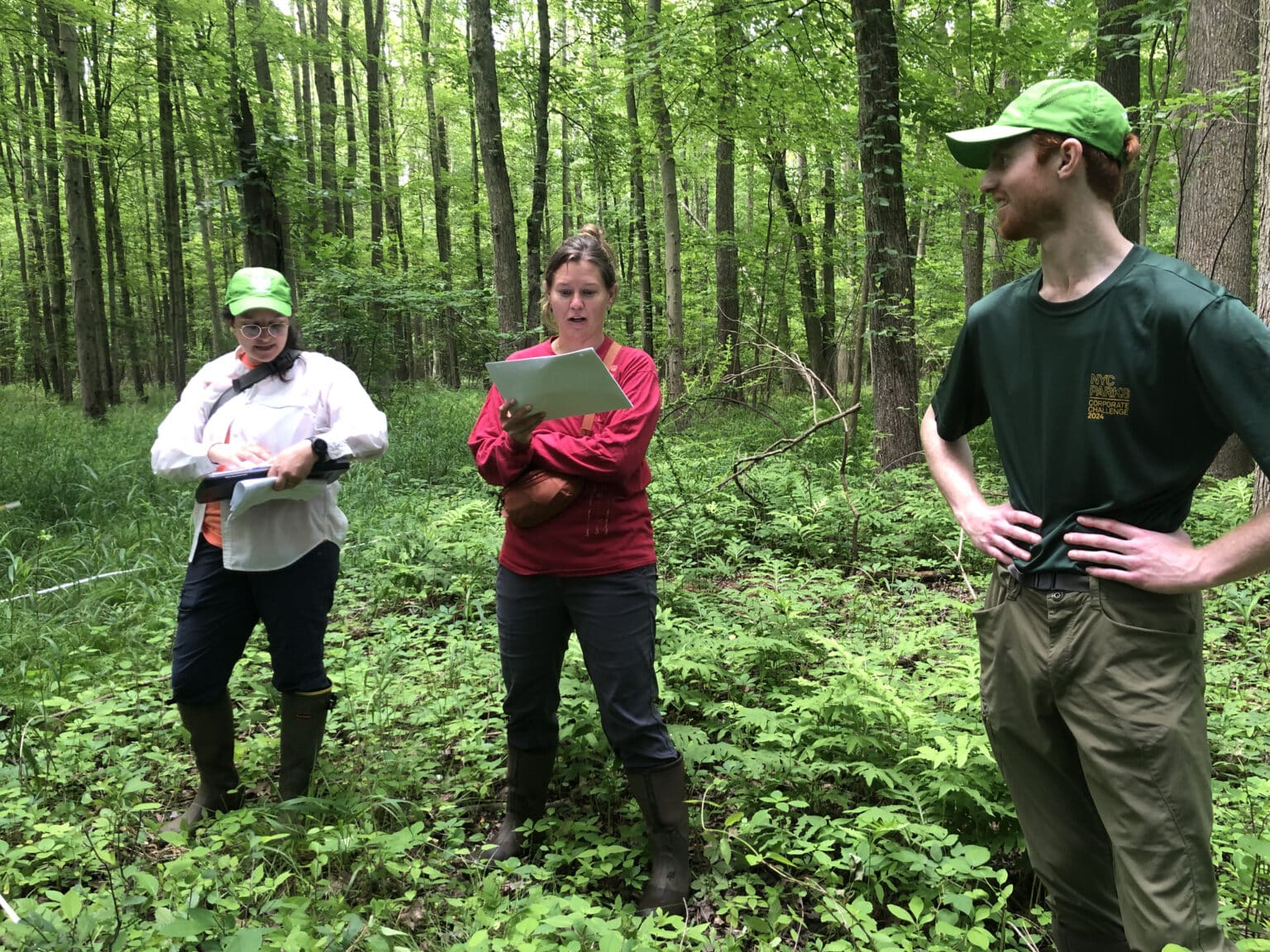 The Impacts of Climate Change on New York City's Natural Areas ...