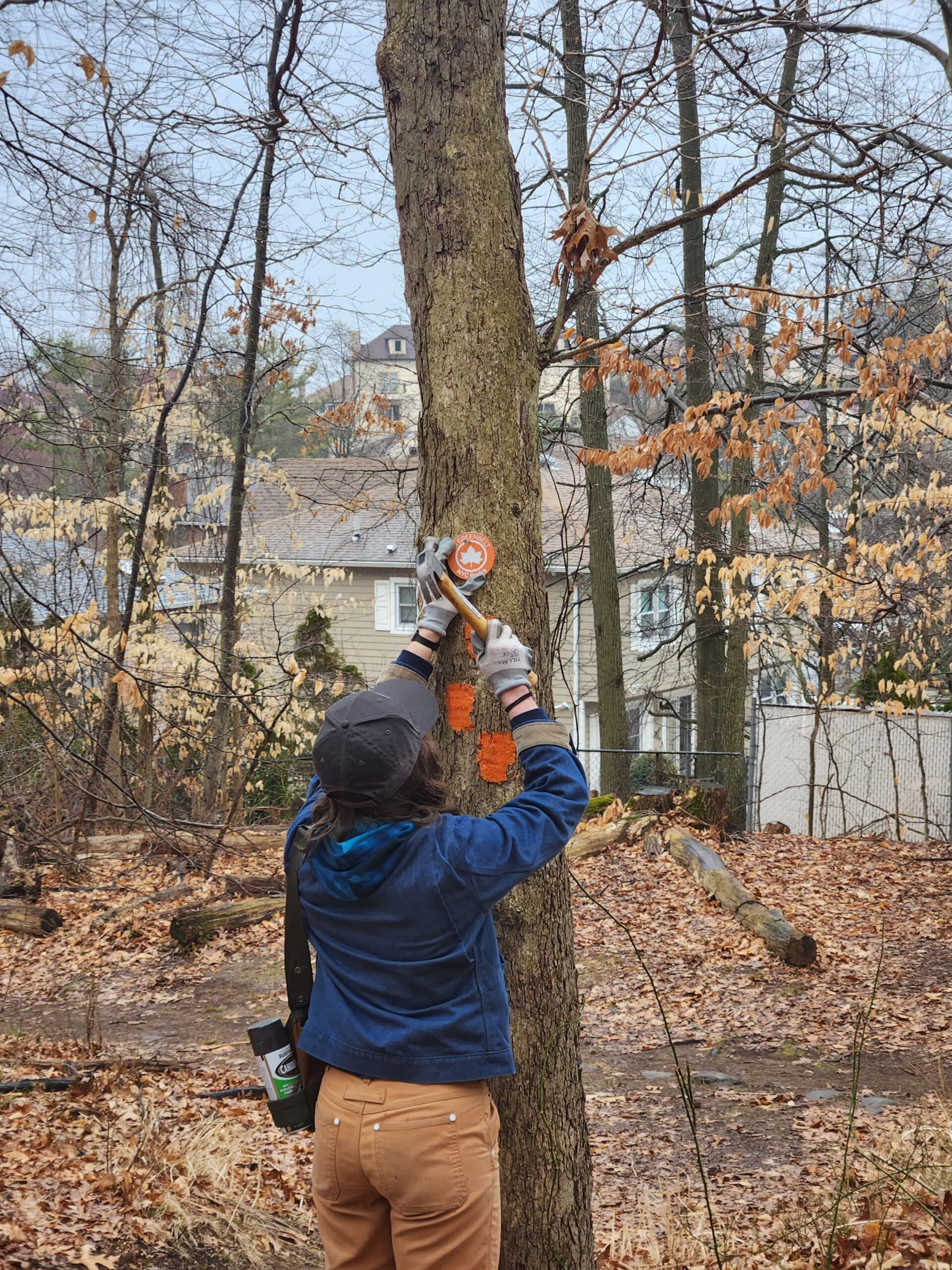 What is Trail Blazing and Why is it Important? - Natural Areas Conservancy